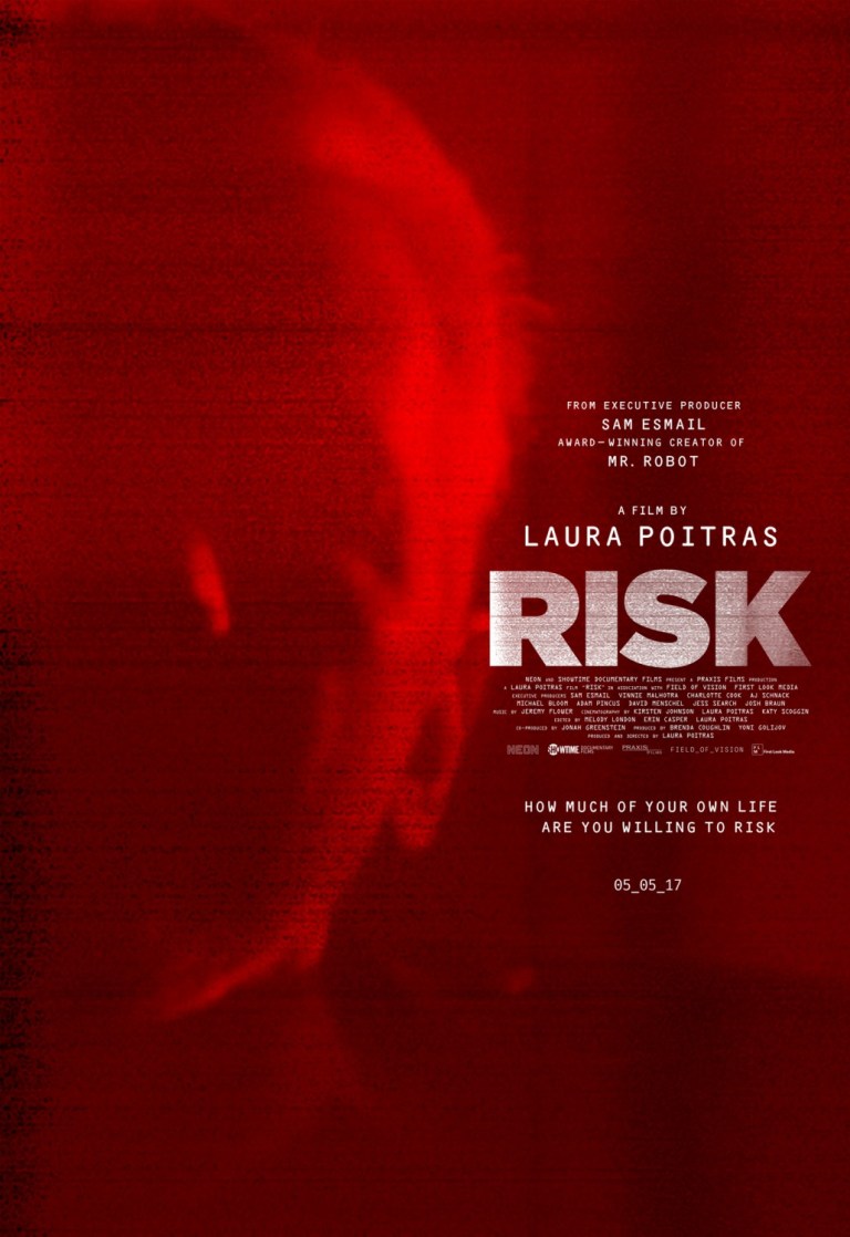 ‘Risk’ Invites You into WikiLeaks’ Inner Circle… Somewhat | The ...